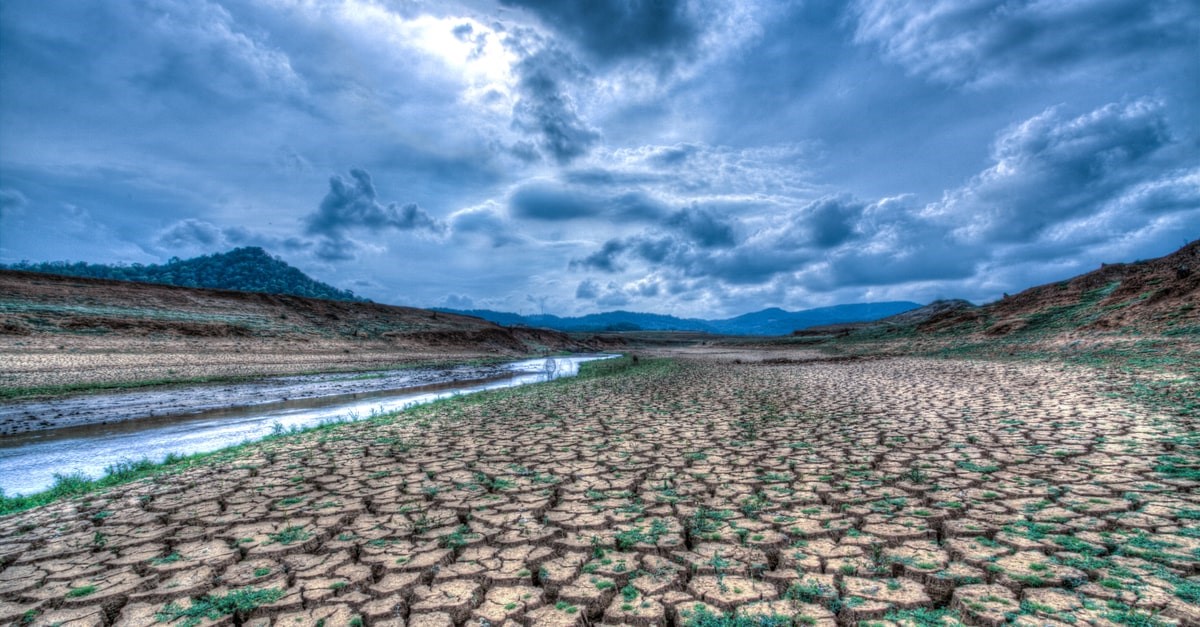 Rotary Club of Arcus Shonan
