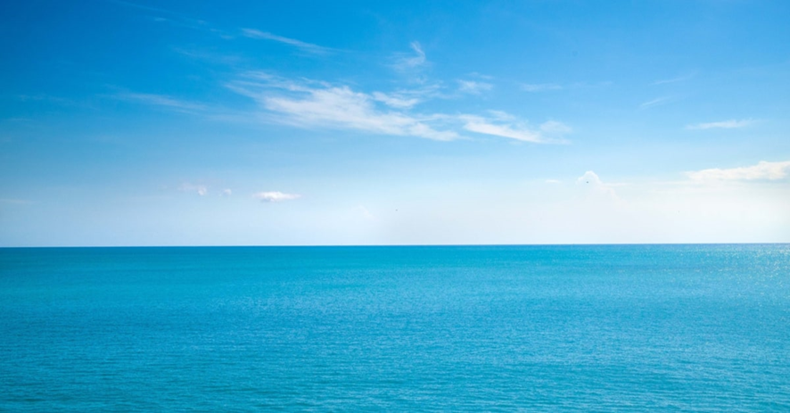 Rotary Club of Arcus Shonan